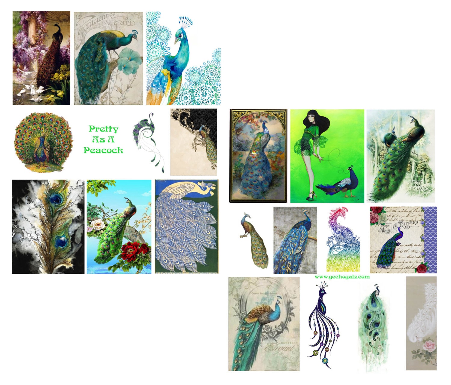 Pretty as A Peacock Digital Collage - Etsy