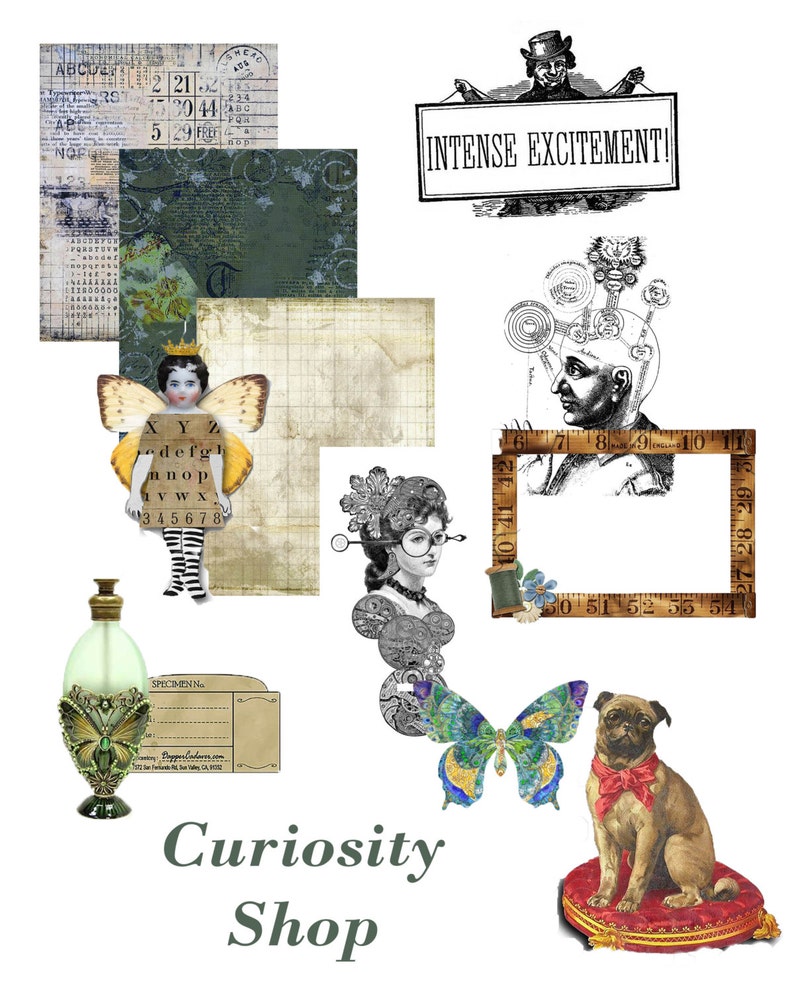 Curiosity Shop Digital Craft Kit - Etsy