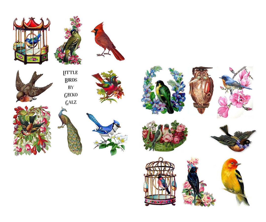 Little Birds Digital Collage Set - Etsy
