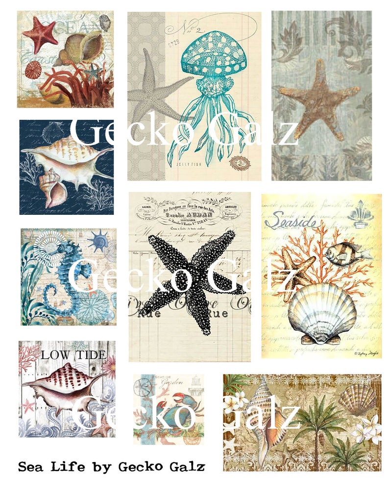 Sea Life Digital Collage Sheet - Etsy