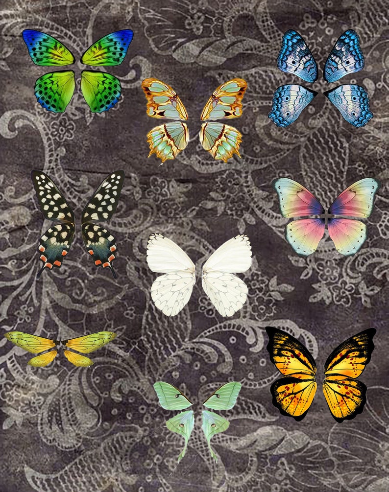Wonderful Wings Craft Kit - Etsy