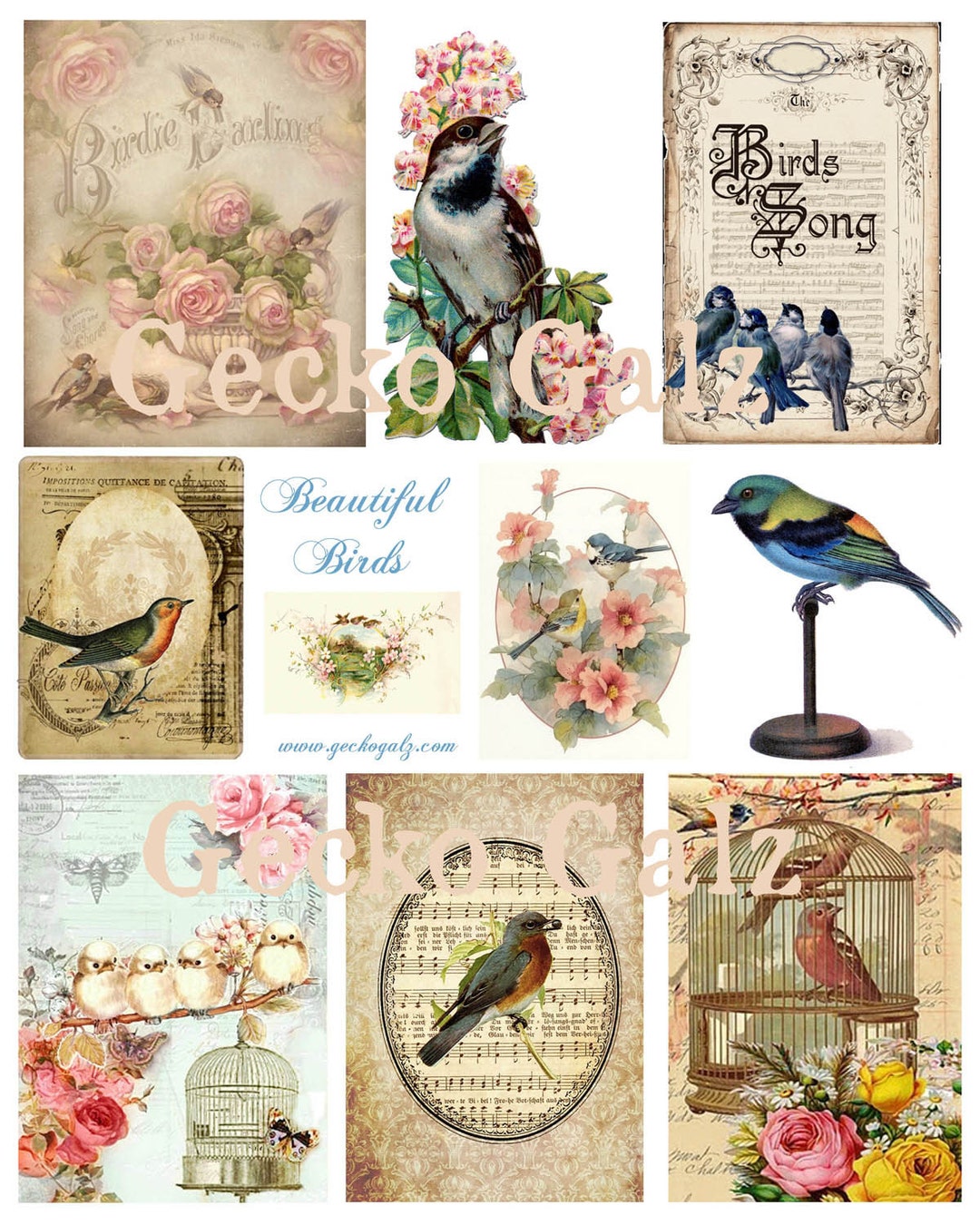 Beautiful Birds Digital Collage Sheet - Etsy