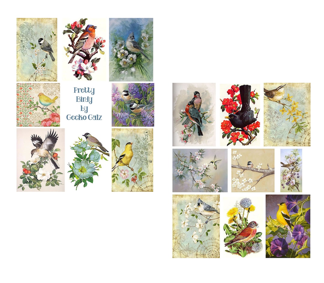 Pretty Bird Digital Collage Set - Etsy