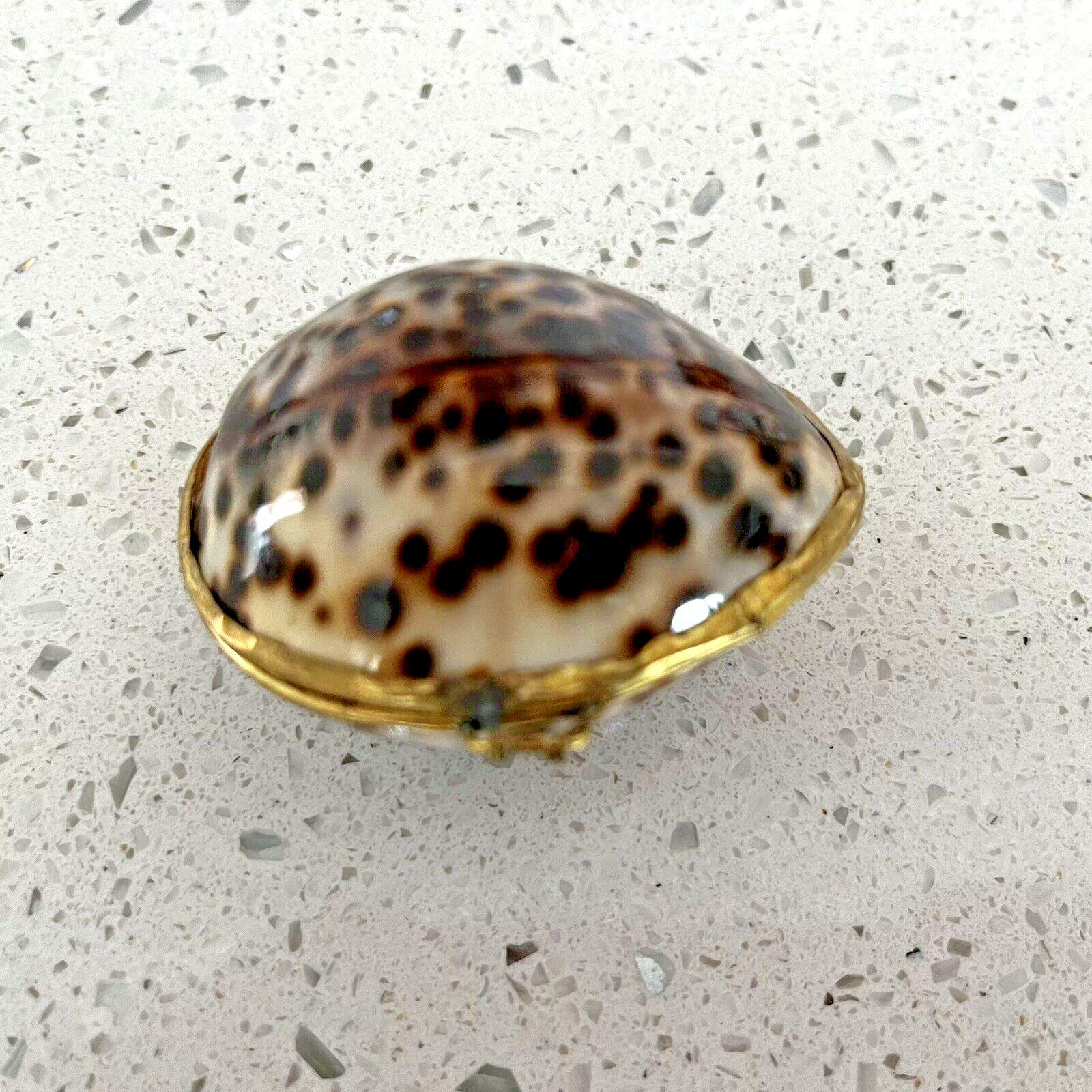 Vintage Tiger Cowrie Shell Trinket Box Brass Hinged Seashell Jewelry ...