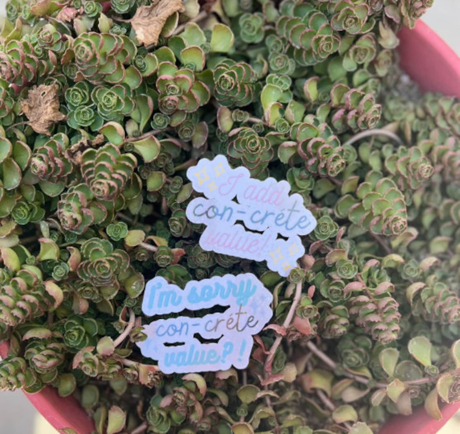 Even MORE Staged Stickers - Etsy