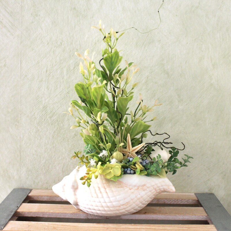 Shell Arrangements - Etsy