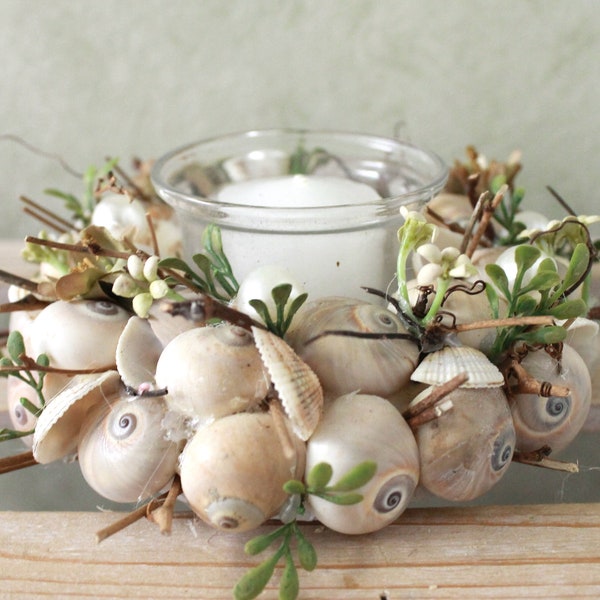 Shell Candle Holder - Etsy