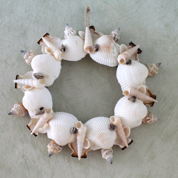 Seashell Wreath - Etsy