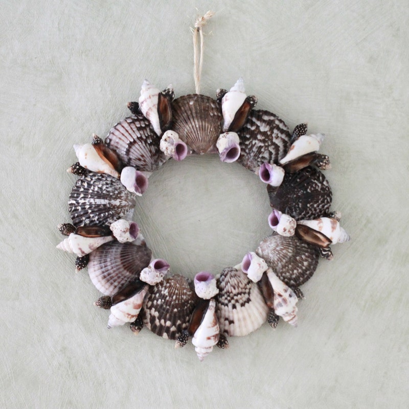 Small Seashells - Etsy