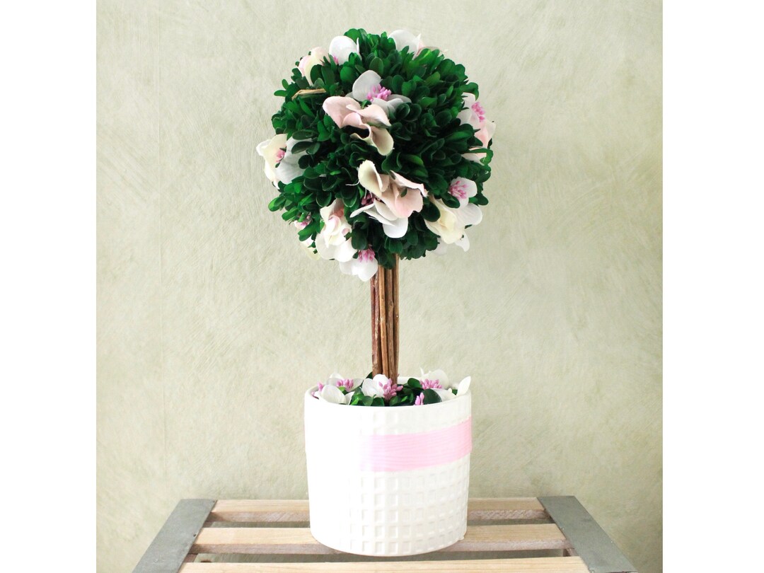 Preserved Boxwood Topiary Decor - Pink | White (A23-74) - Etsy