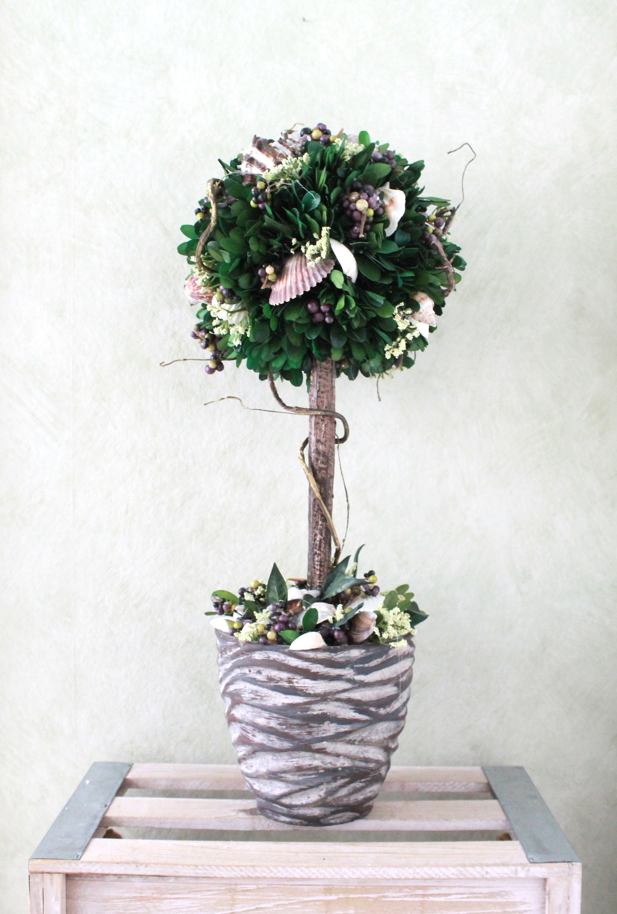 Tabletop Topiary Tree Preserved Boxwood Seashell A21-153 - Etsy