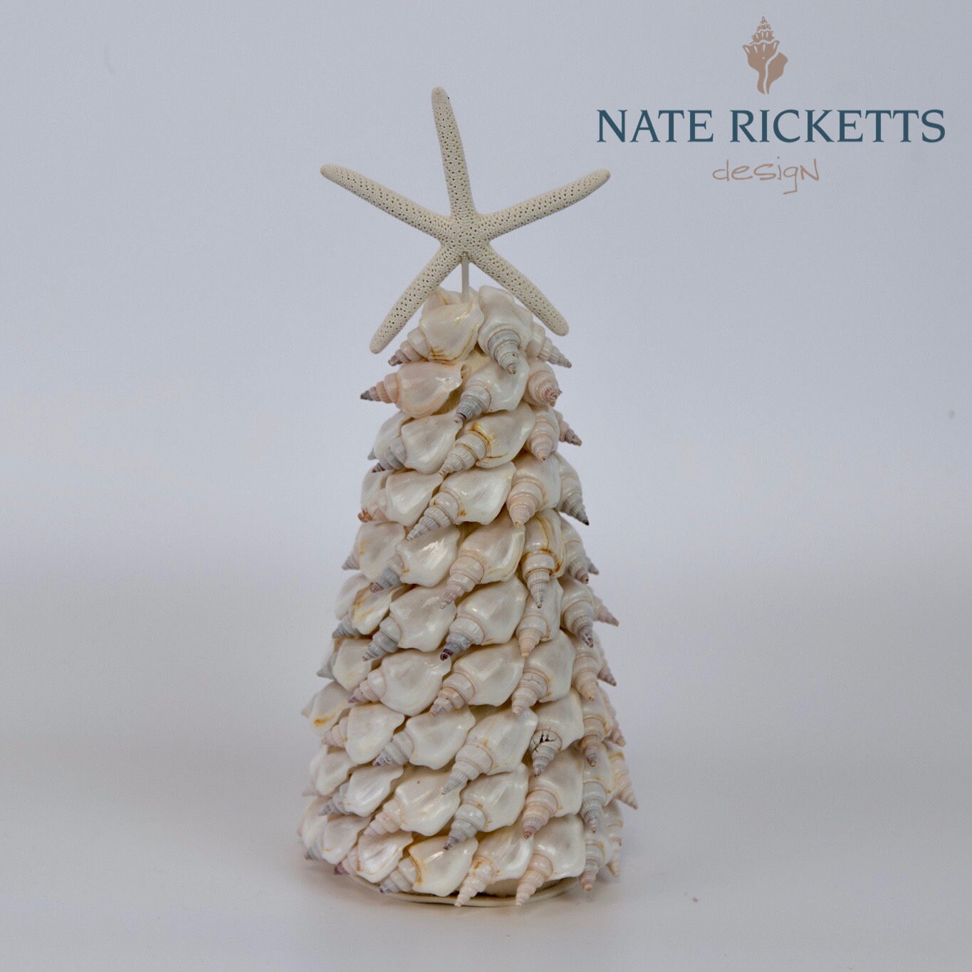 Angel Wing Seashell Tree - Etsy