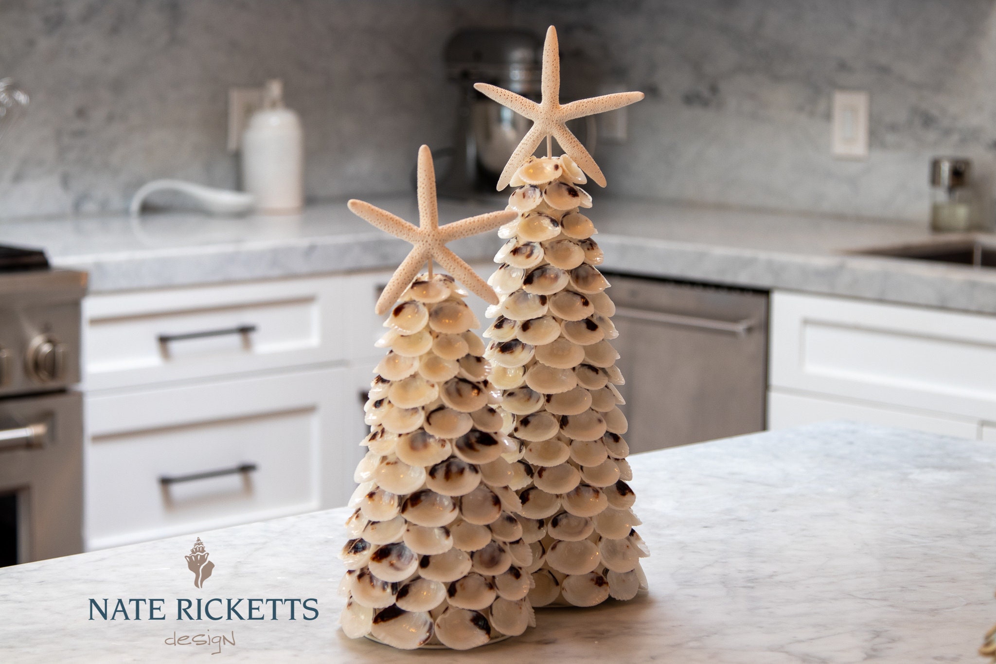 White Clam Seashell Tree With Seastar - Etsy