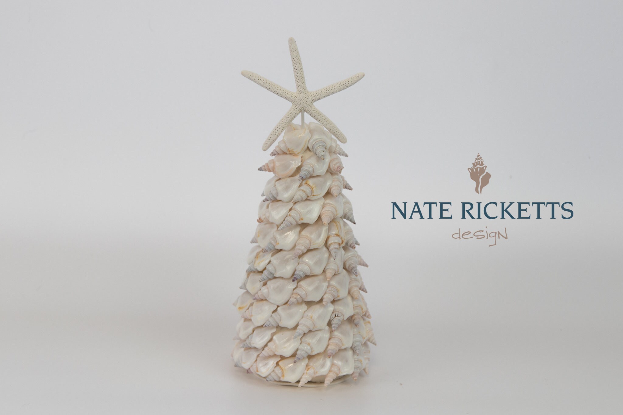 Angel Wing Seashell Tree - Etsy