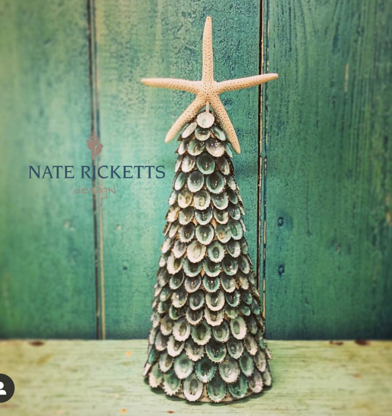 Blue Limpet Tree With Seastar - Etsy
