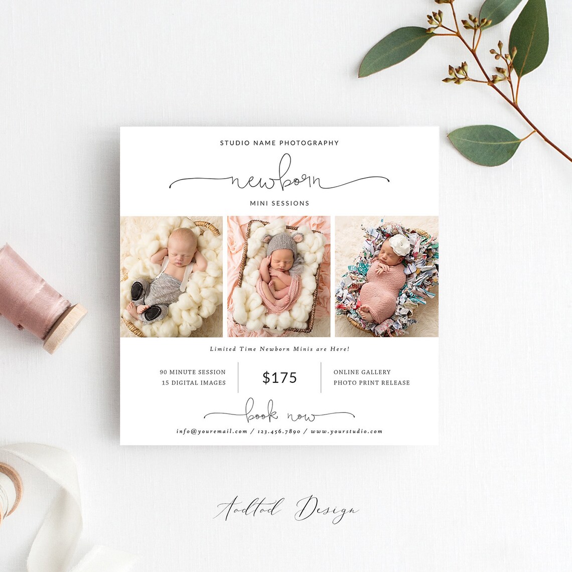 Newborn Mini Session Template Marketing Template Newborn - Etsy