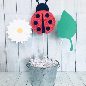 Lady Bug Centerepieces, Lady Bug Birthday Decorations, Lady Bug Decor ...