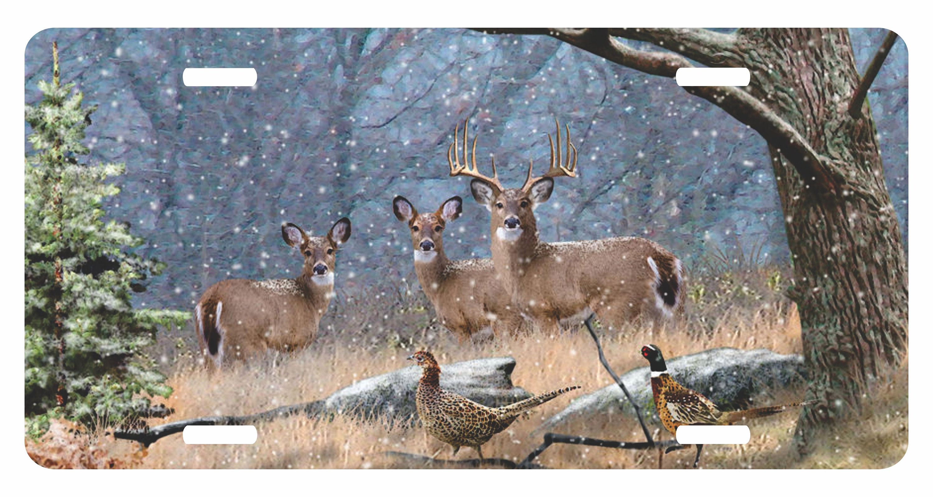 Deer Doe Buck Pheasant Bird Snow Hunter Hunting Tree Field License ...
