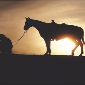 Christian Cowboy Praying Cross Horse Rodeo Western Custom License Plate ...