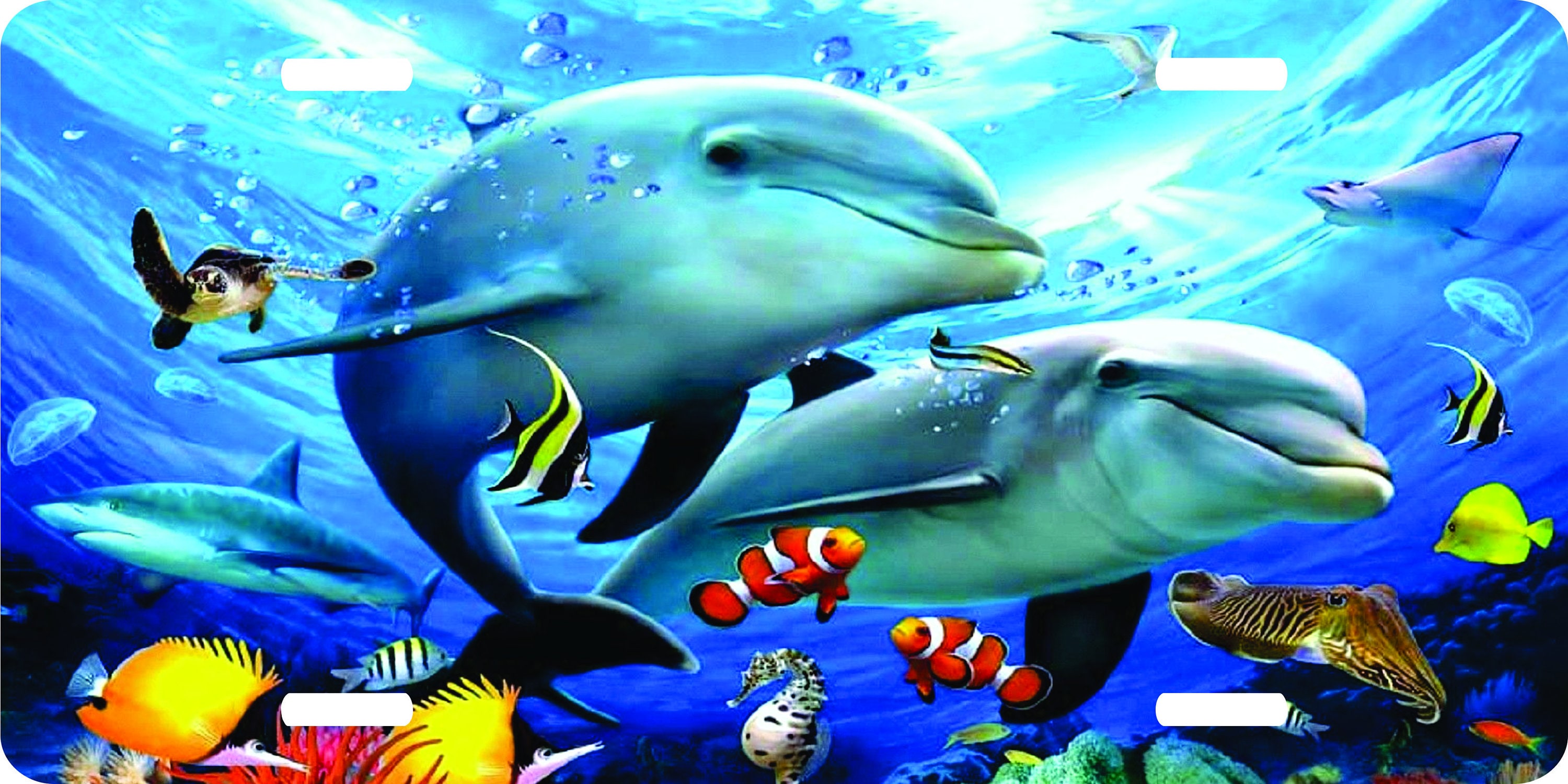 Dolphin Ocean Sea Clown Fish Water Animal Pet License Plate Car Truck ...