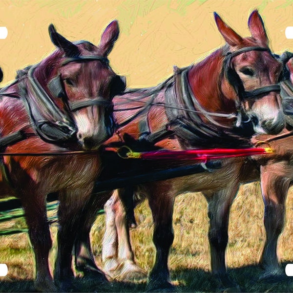Mule and Horses License Plate - Etsy