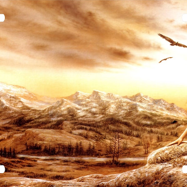 Native American Indian License Plates - Etsy