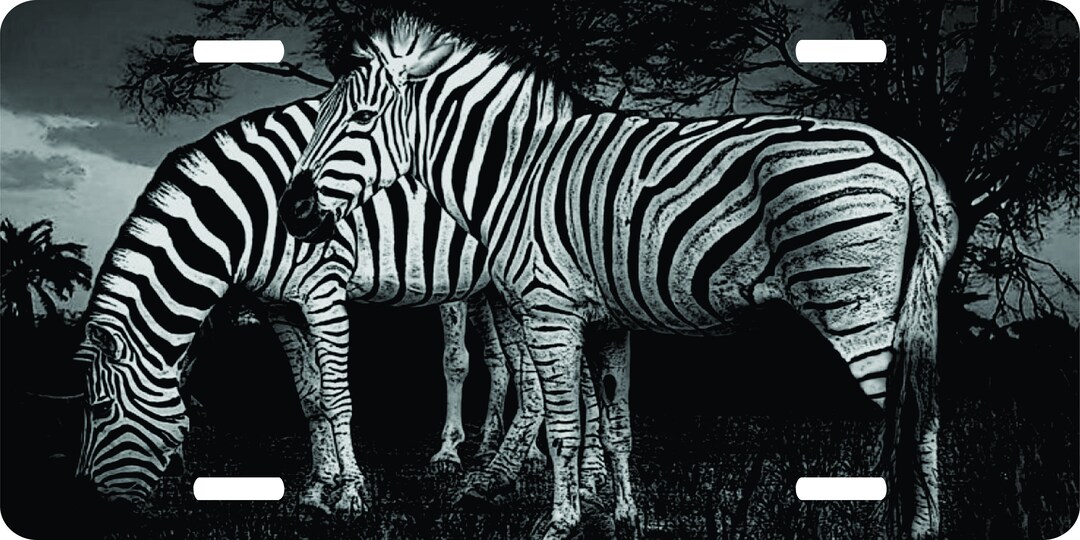 Zebra African Black White Horse Donkey Novelty License Plate Car Truck ...