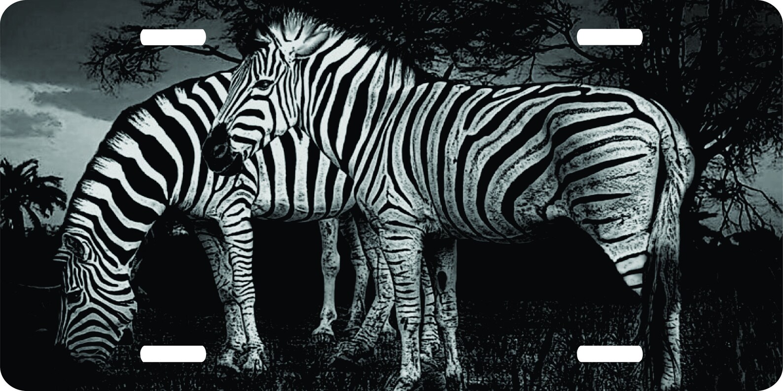 Zebra African Black White Horse Donkey Novelty License Plate - Etsy