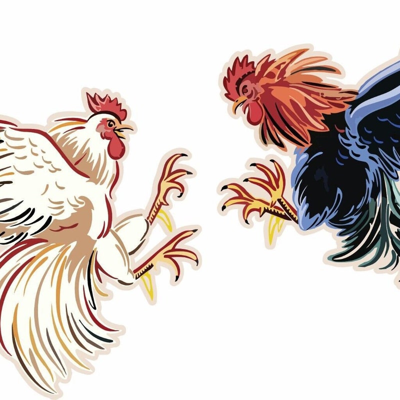 Gallo De Pelea Svg - Etsy