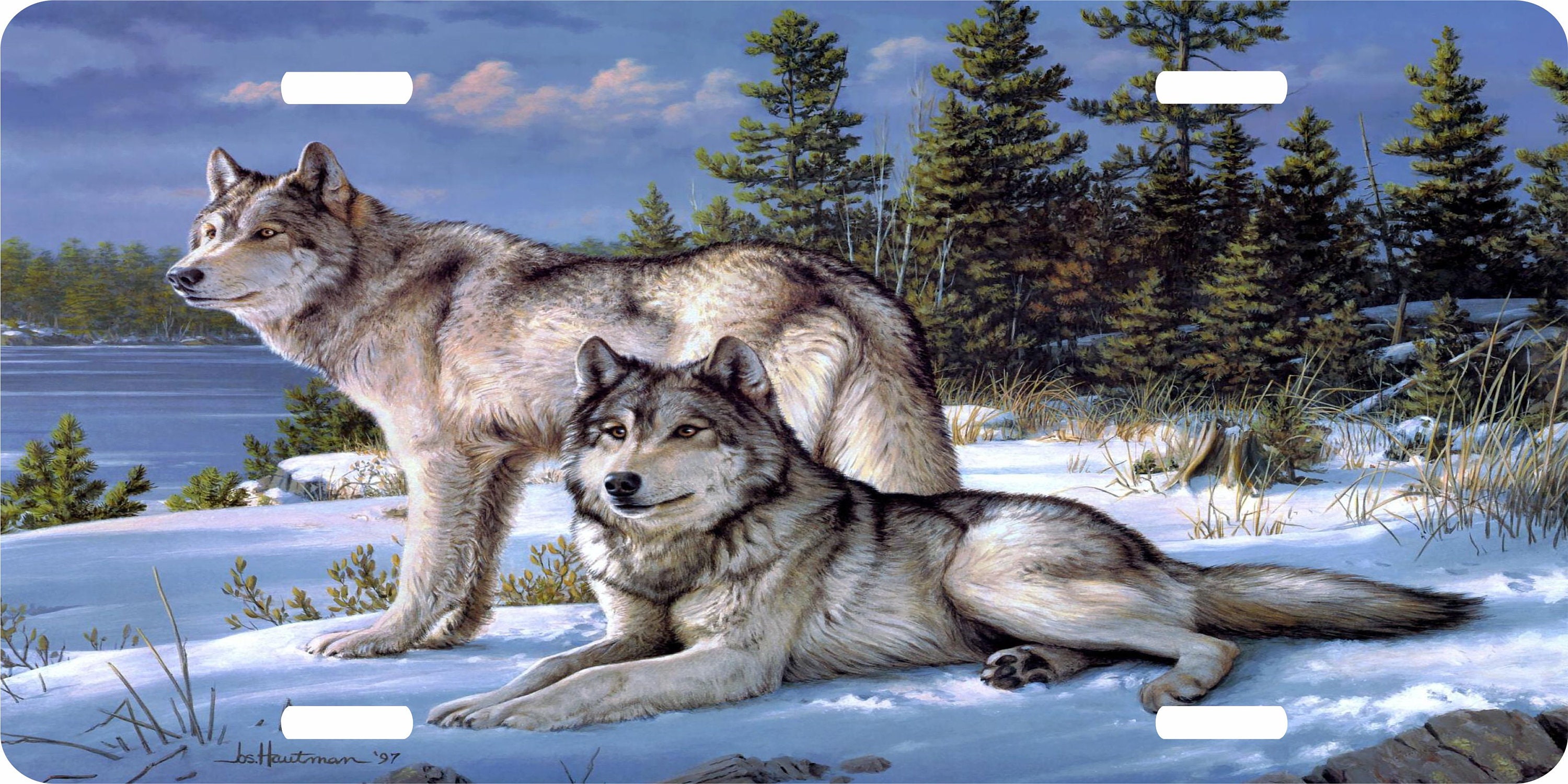 Wolf Pack Wild Dog Canine Animal Pet Snow Hunter License Plate Car ...