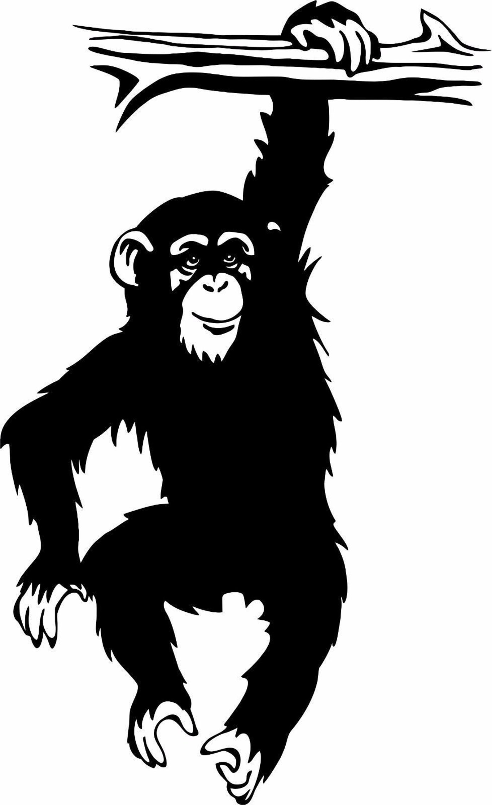 Chimp Monkey Chimpanzee Ape Animal Car Truck Van Vinyl Decal Sticker - Etsy