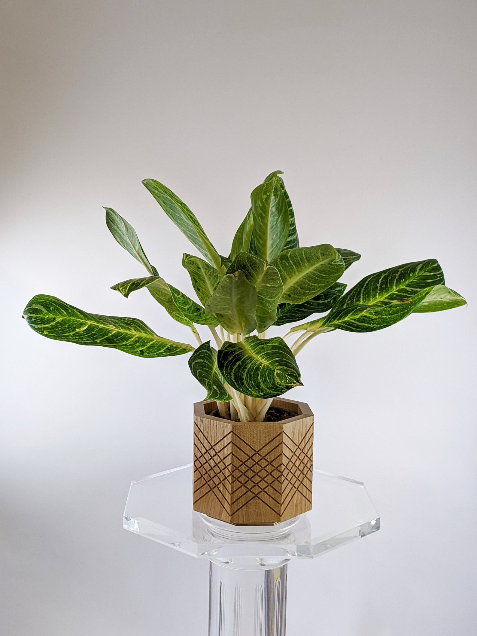 Oak Planter Solid Oak Octagonal Indoor Planter, Cache, Wooden Planter ...