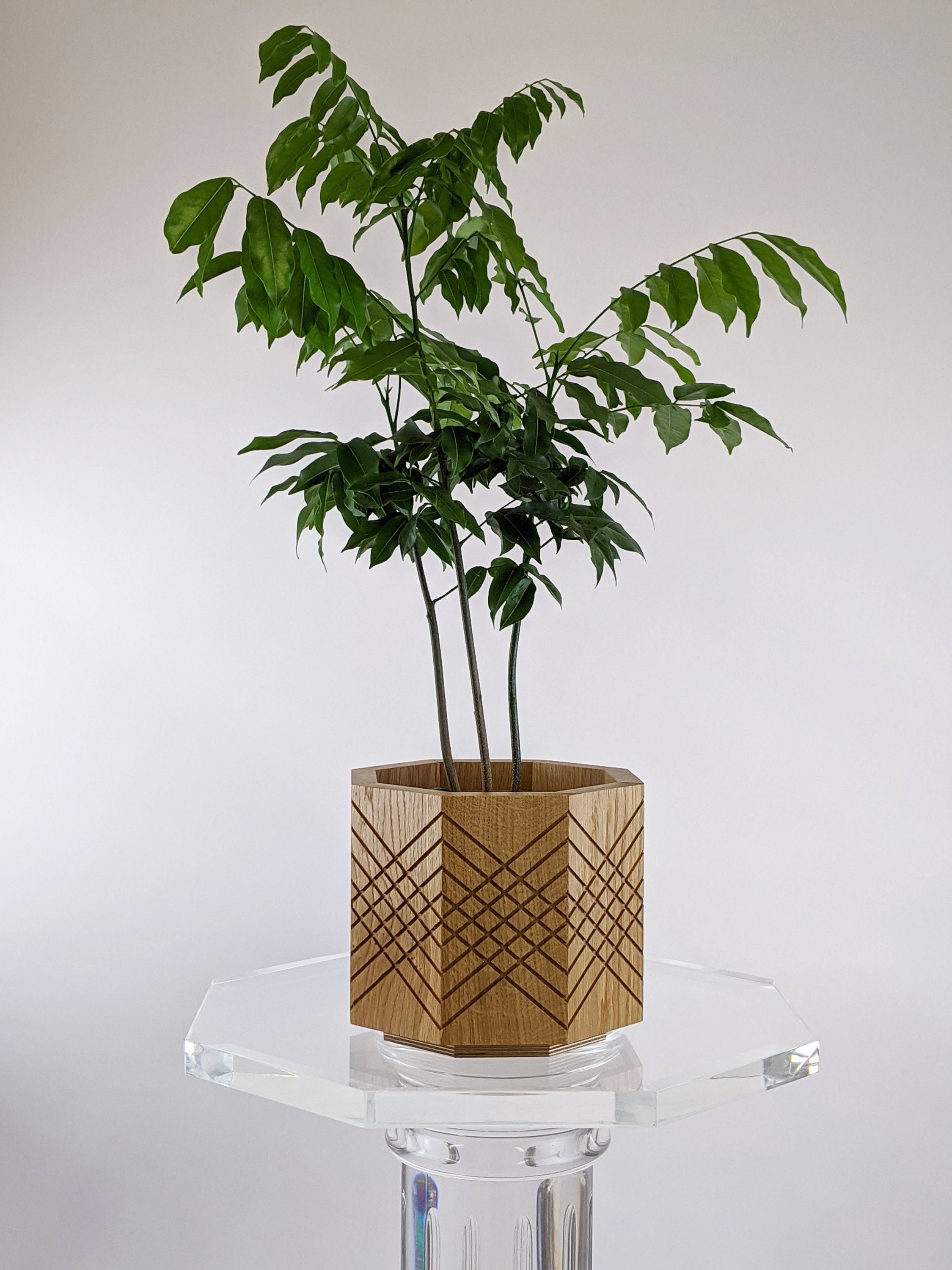 Oak Planter Solid Oak Octagonal Indoor Planter, Cache, Wooden Planter ...