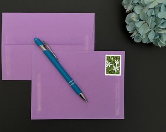 Square Vellum Envelopes - Etsy