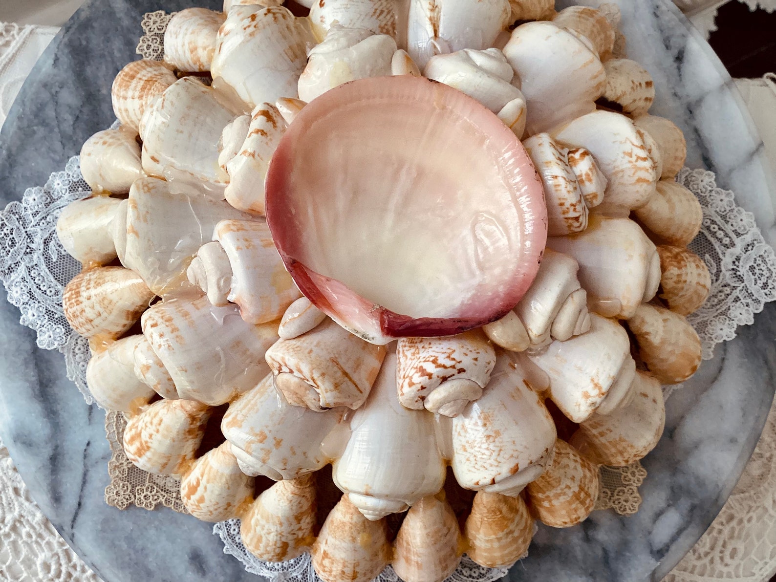 Seashell Shell Footed Table Bowl Made of Shells Spectacular - Etsy