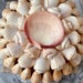 Seashell Shell Footed Table Bowl Made of Shells Spectacular - Etsy