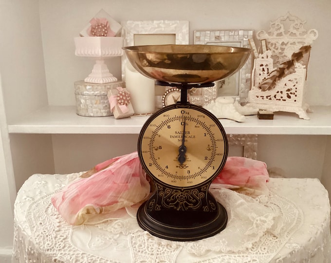 Salter Countertop Balance Scale With Brass Pan, Kitchen, UK Registered ...