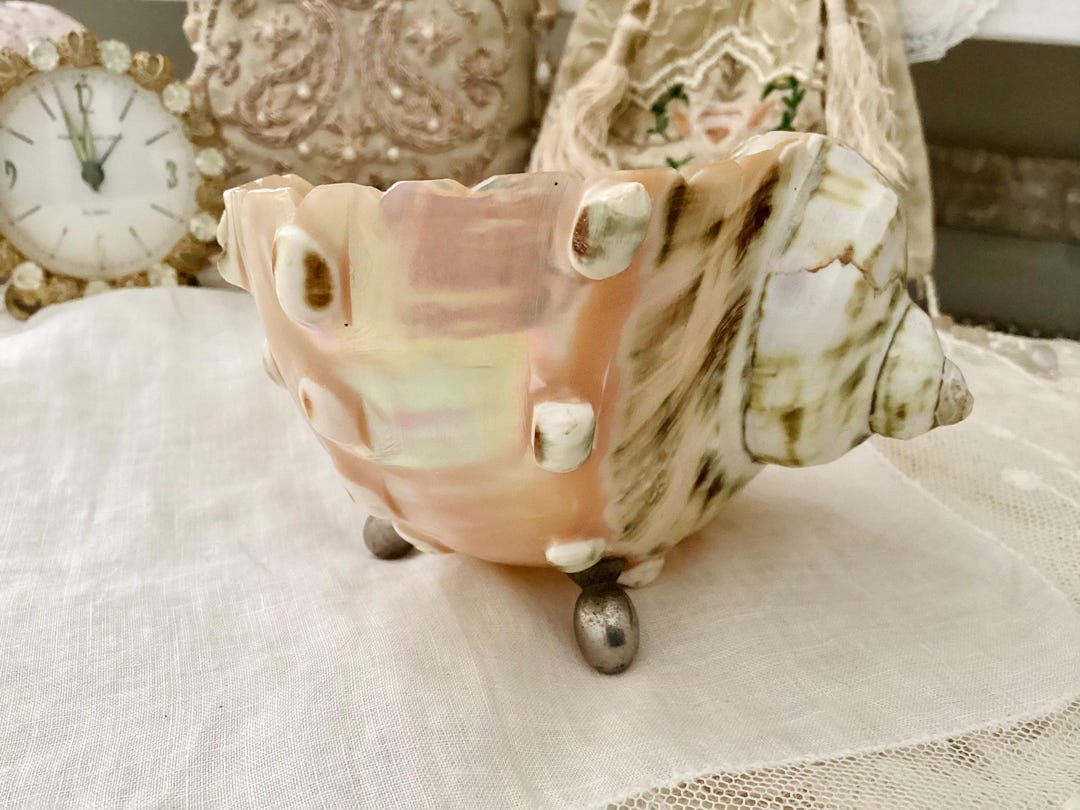 Mother of Pearl Shell Footed Open Salt Table Bowl, Carved Seashell - Etsy
