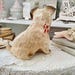 Puppy Dog Figure, Chalkware Terrier, Carnival Prize for Child’s Room - Etsy
