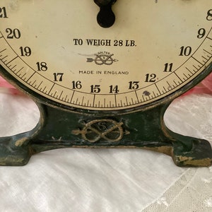 Salter Countertop Balance Scale Kitchen, UK Registered Design, Green ...