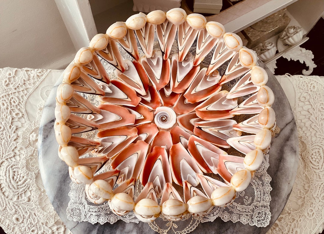 Seashell Shell Footed Table Bowl Made of Shells - Spectacular! - Etsy