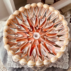 Seashell Shell Footed Table Bowl Made of Shells - Spectacular! - Etsy