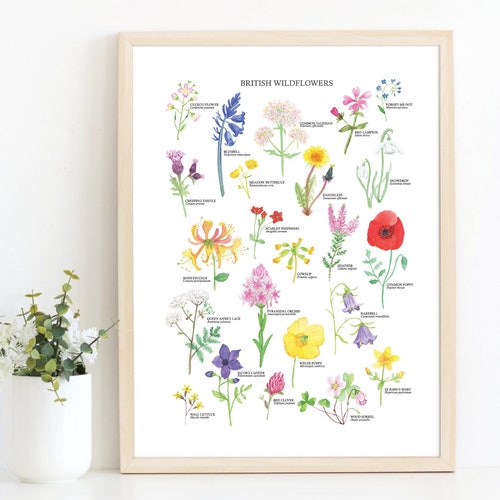 British Wildflowers Print Wildflower Art Poster - Etsy UK