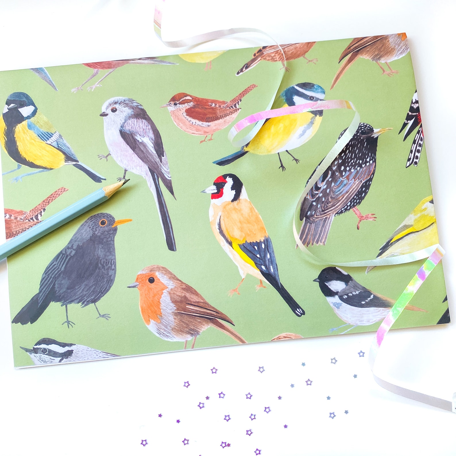 British Birds Wrapping Paper Bird Gift Wrap Garden Birds | Etsy UK