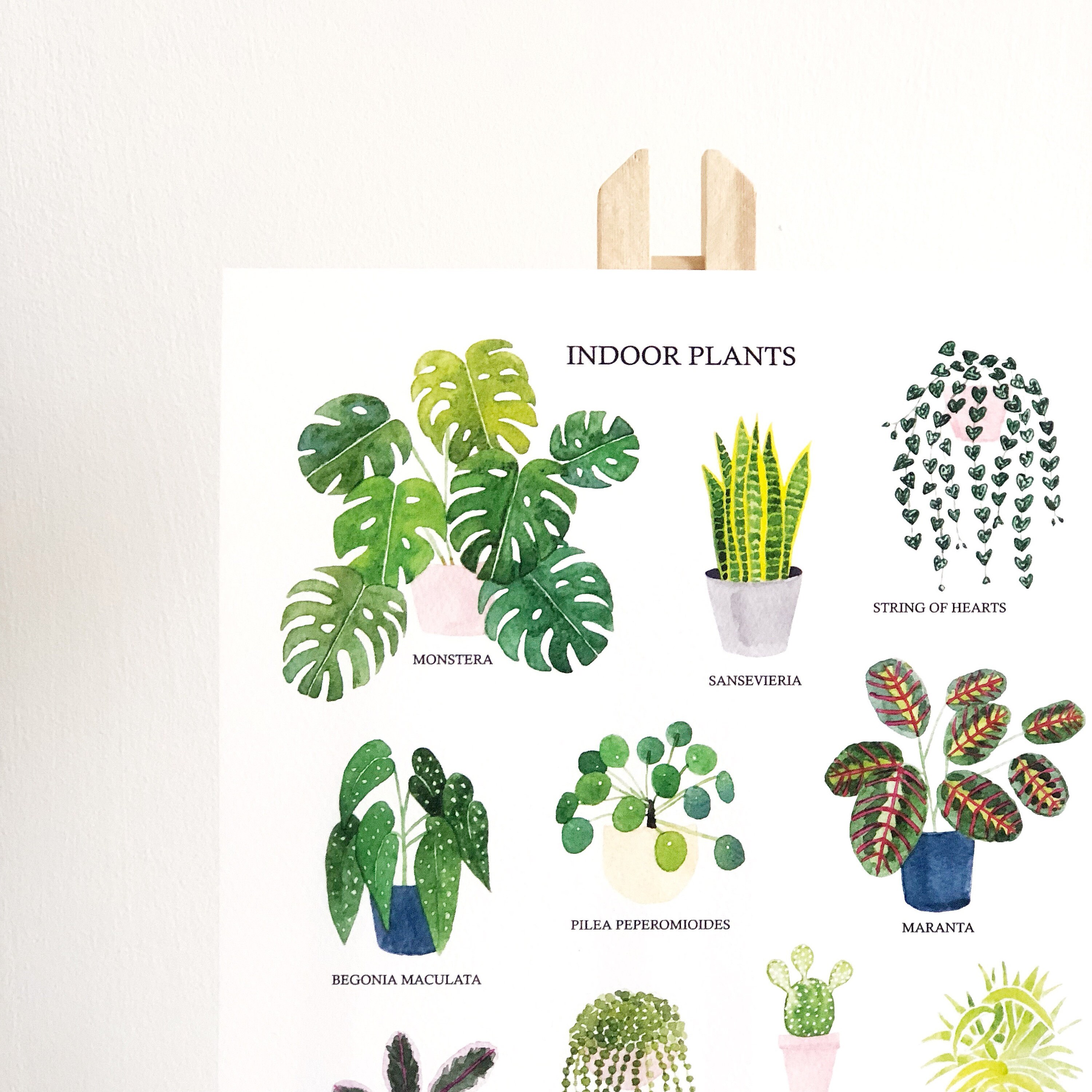 Indoor Plants Print House Plants Print Watercolour Plant | Etsy