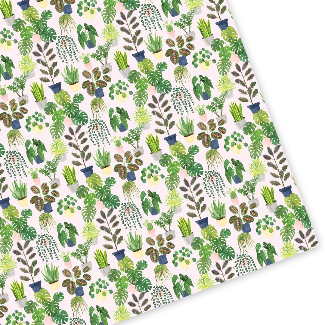 Indoor Plants Wrapping Paper House Plants Gift Wrap House Plant Paper ...