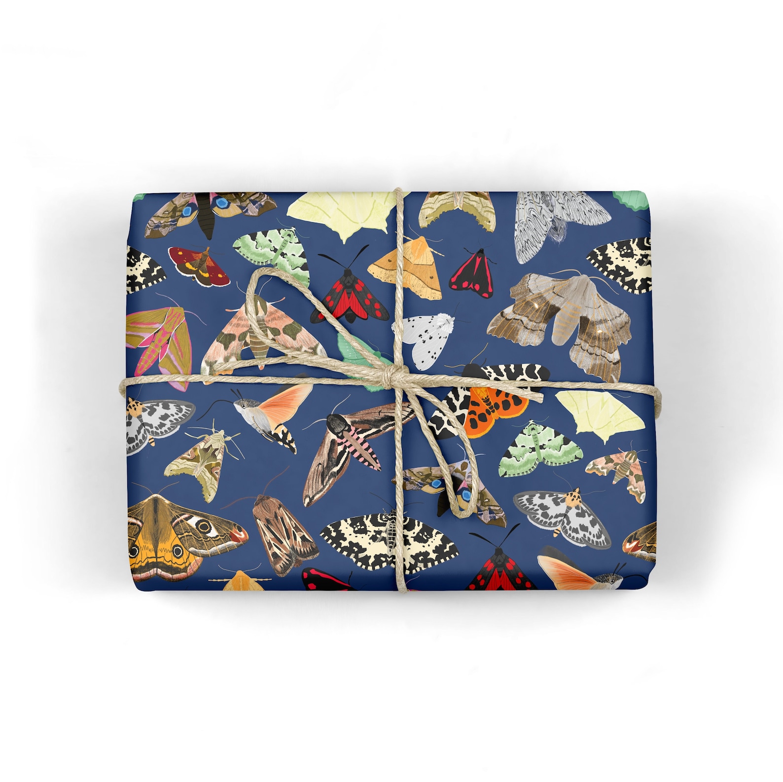 British Moths Wrapping Paper - Moth Gift Wrap - Insect Gift Wrap ...