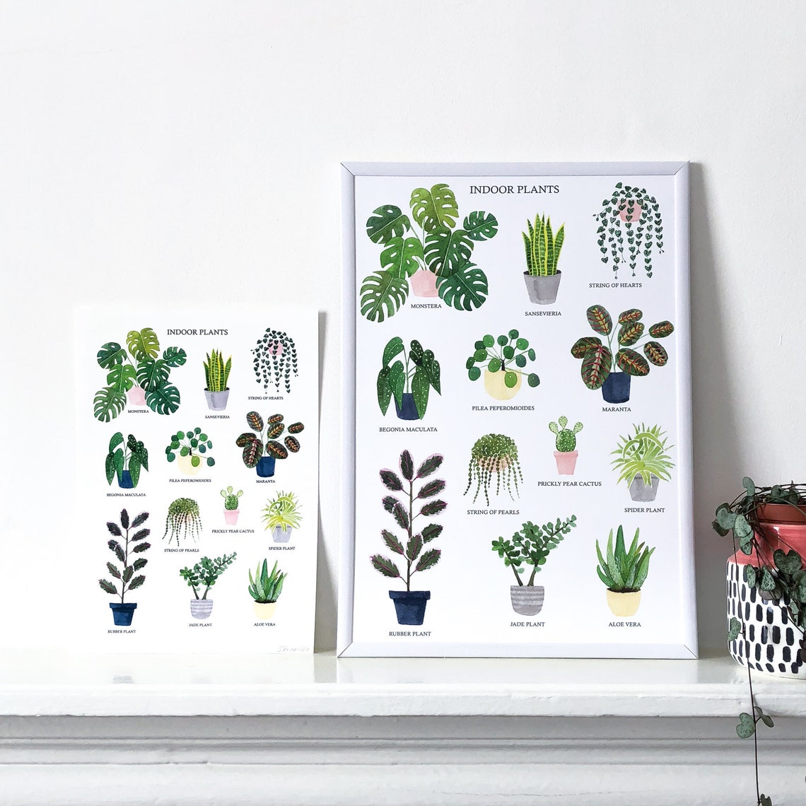 Indoor Plants Print House Plants Print Watercolour Plant | Etsy