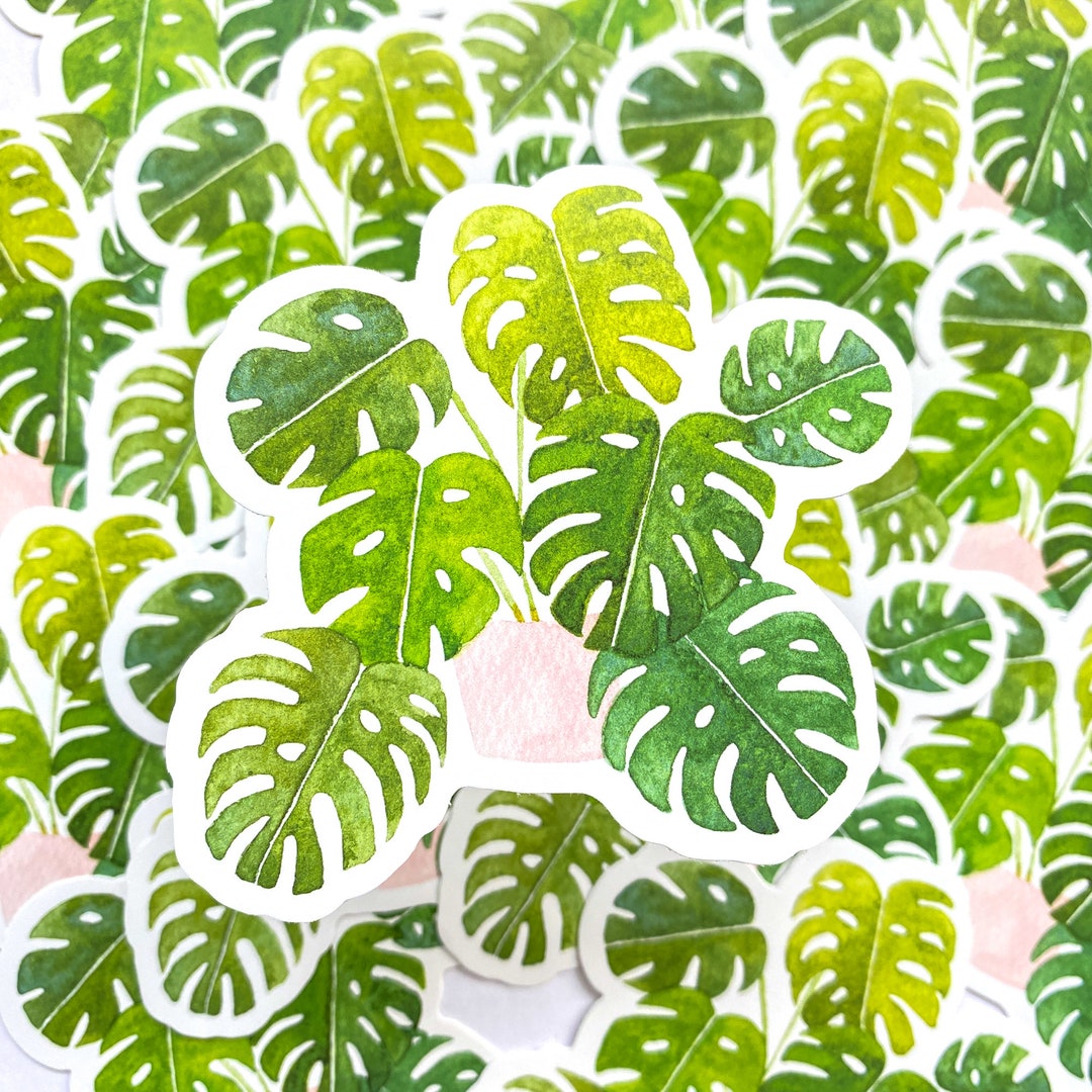 Monstera Plant Vinyl Sticker - Monstera Vinyl Sticker - Plant Sticker ...