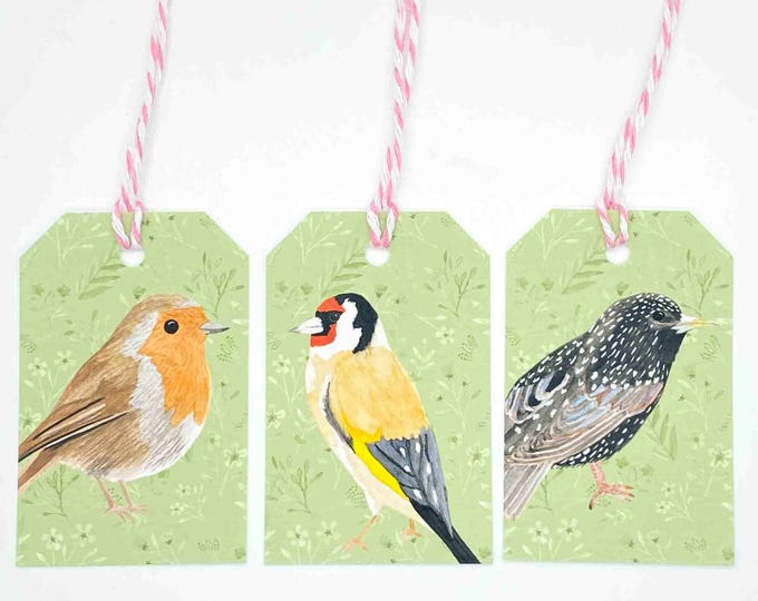 British Garden Birds Gift Tags - Pack of 3 - Bird Labels - Garden Bird ...
